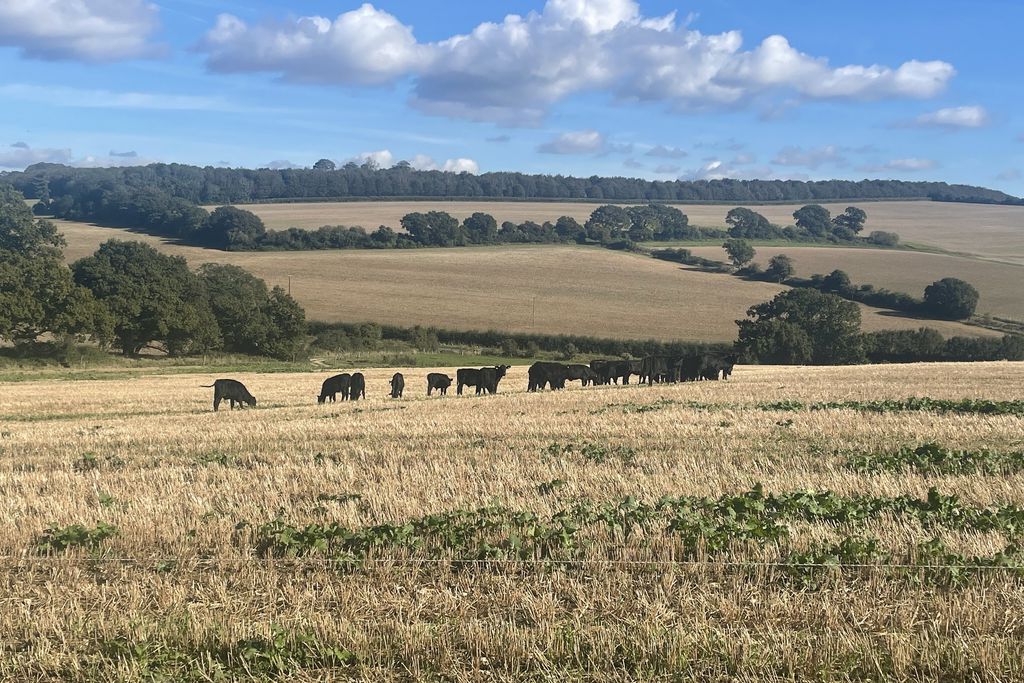 Crows Hall Farm - Sawday's