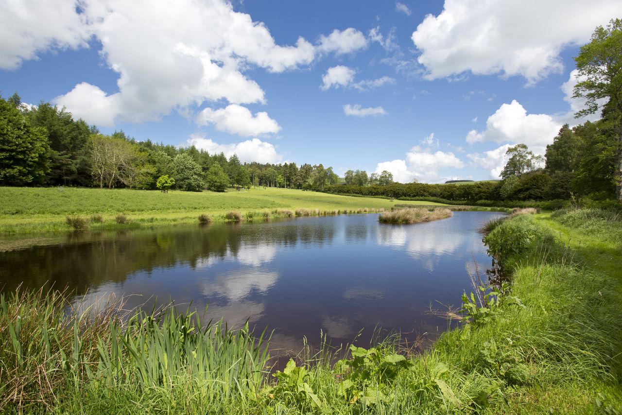 Crookston House - Sawday's