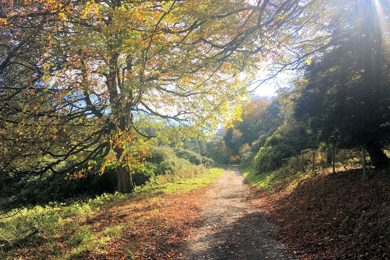 Cottages and places to stay in Britain | Britain