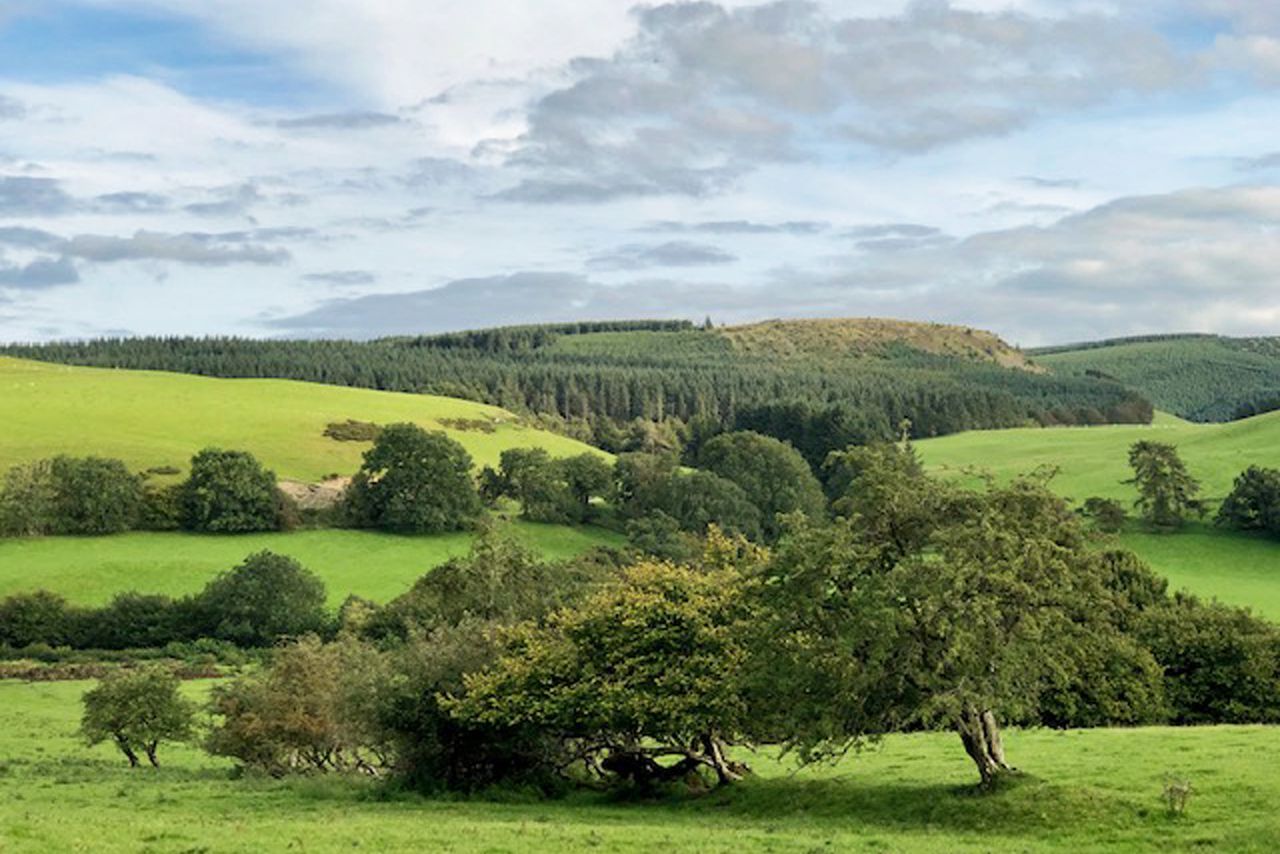 Drovers Retreat - Sawday's