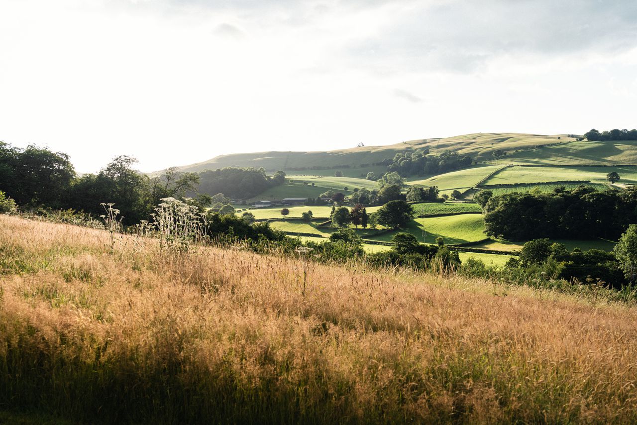 Wild Meadow - Sawday's