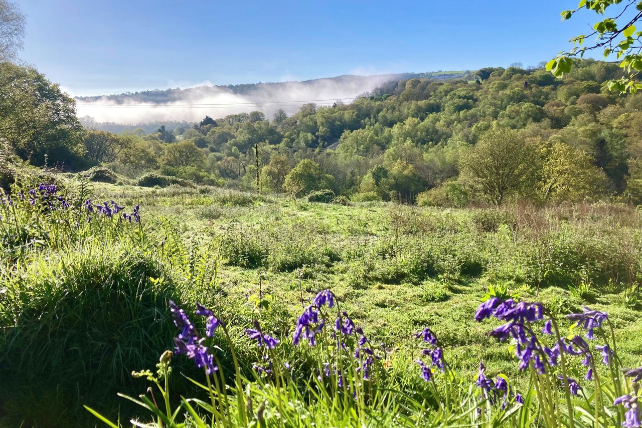 Special places to stay in Cornwall | Sawday's