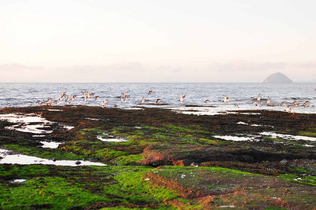 Ballantrae Harbour Cottages - Sawday's
