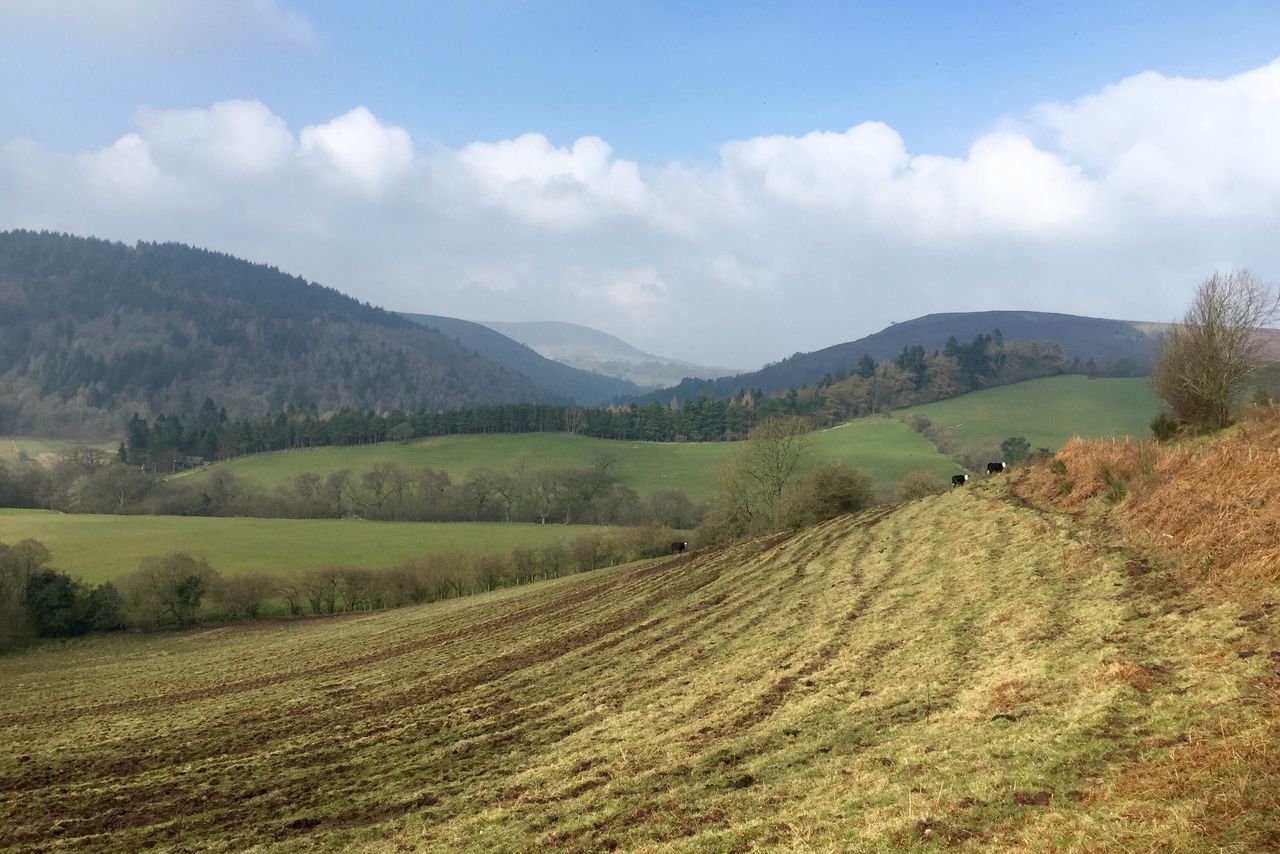 The Shippen - Sawday's