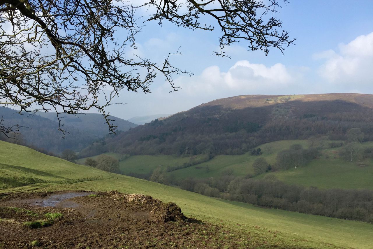 The Shippen - Sawday's