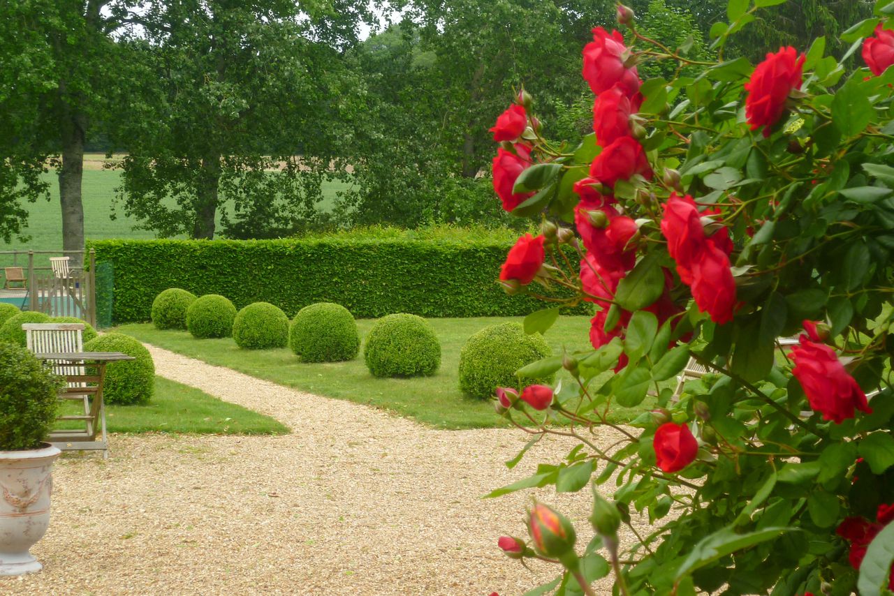 Château du Vau - Sawday's