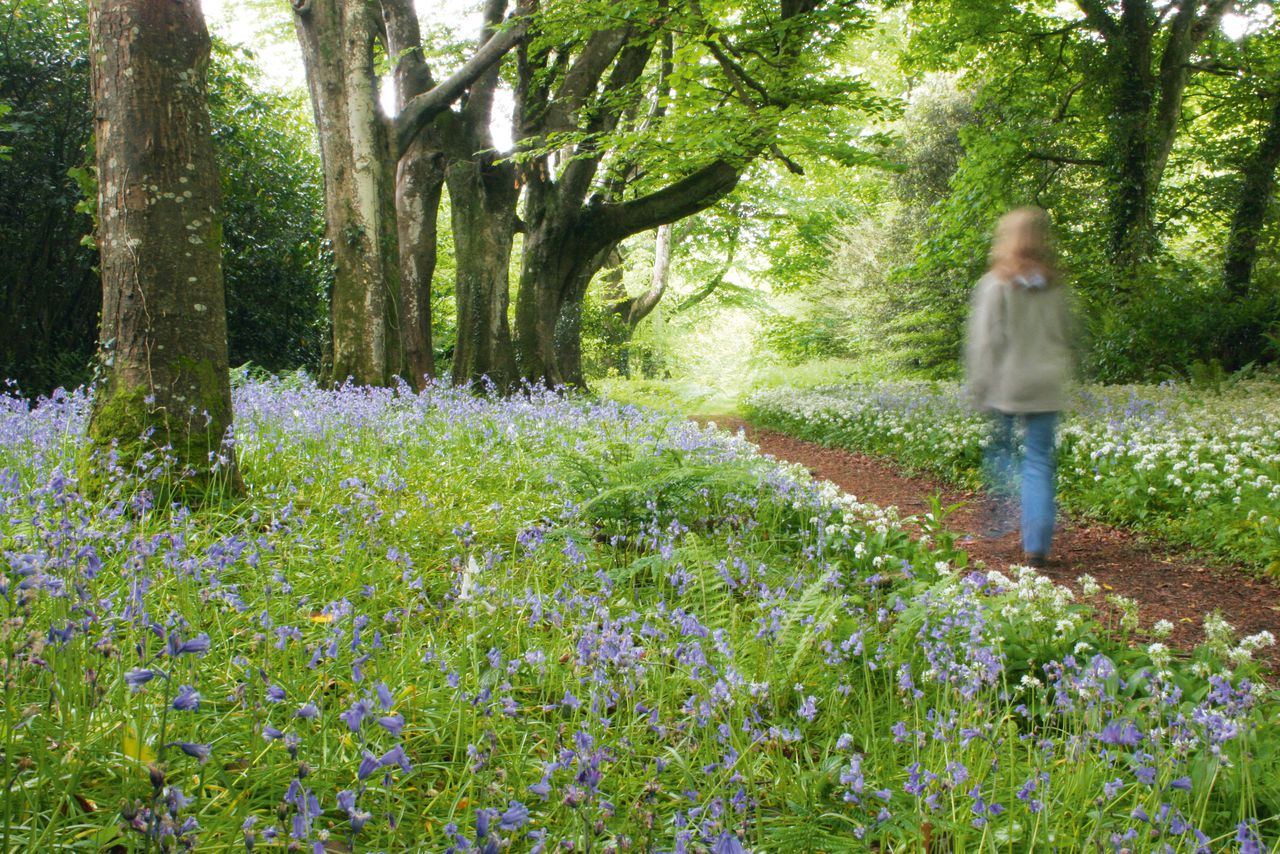 Special places to stay in Britain | Sawday's