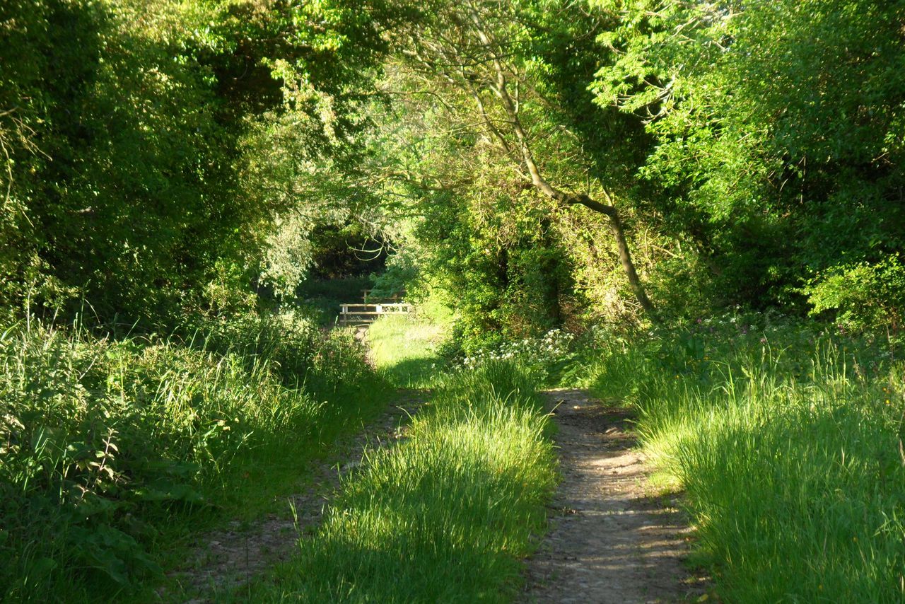 The Fuffins at Hunting Hall - Sawday's