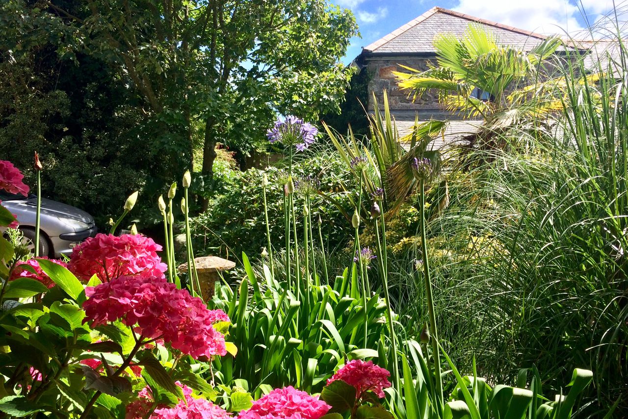 Ednovean Farm - Sawday's