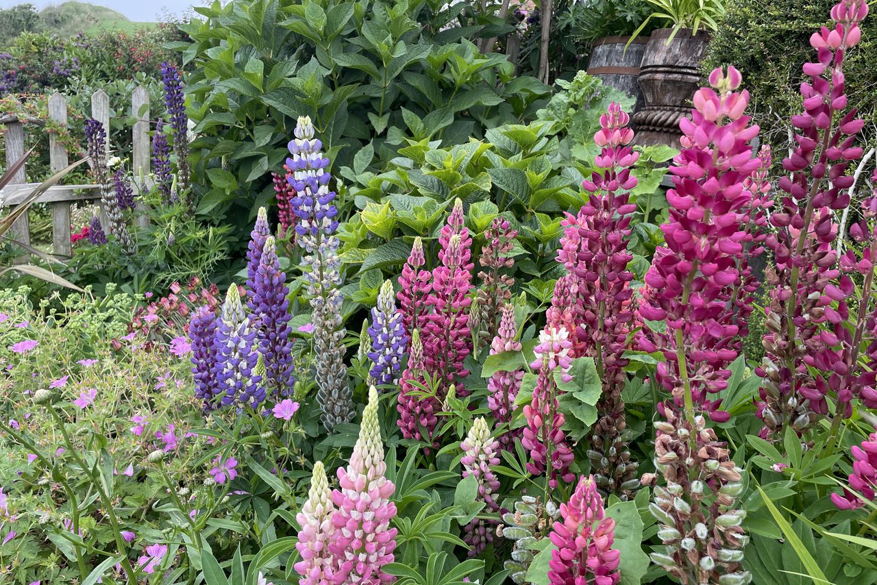 Emma and Tim's Cottage - Sawday's