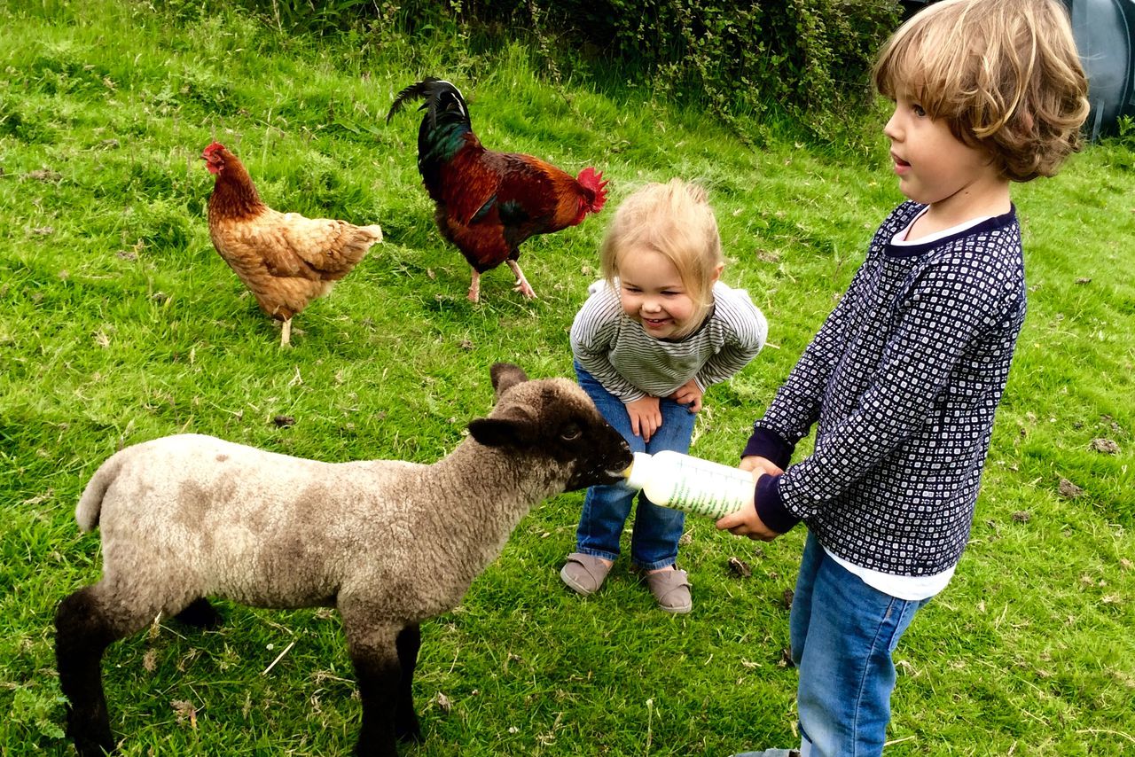 Sawday's special places in Cornwall | Sawday's