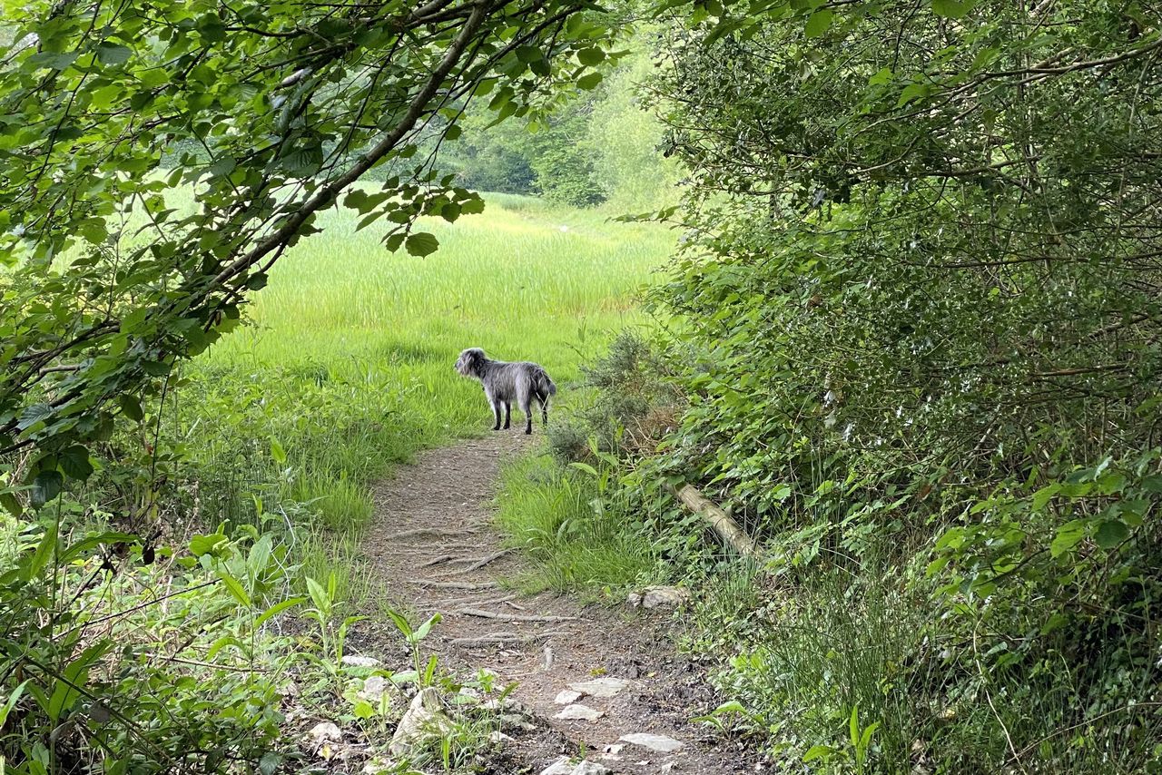 Sawday's special places in Cornwall | Sawday's