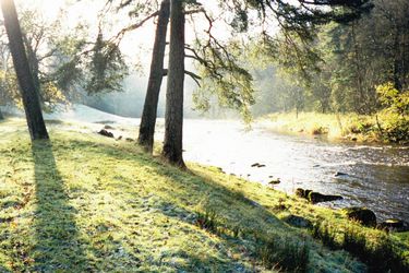 Cottages in Perth & Kinross and special places to stay | Sawday's