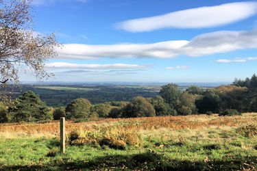 The Pheasant at Neenton - Sawday's