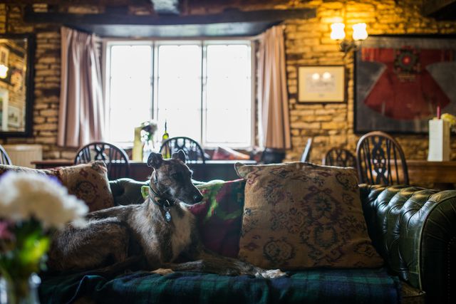 Special places to stay in England | Sawday's