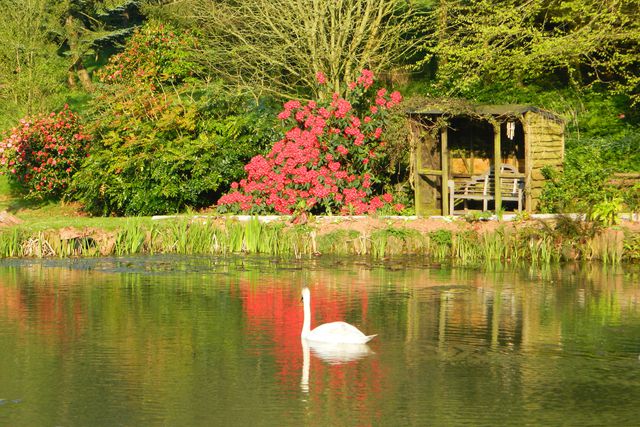 Cottages in Devon and special places to stay | Sawday's