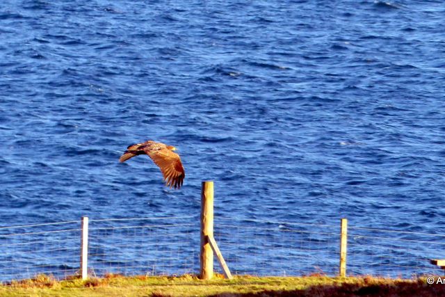 An Airigh - Sawday's