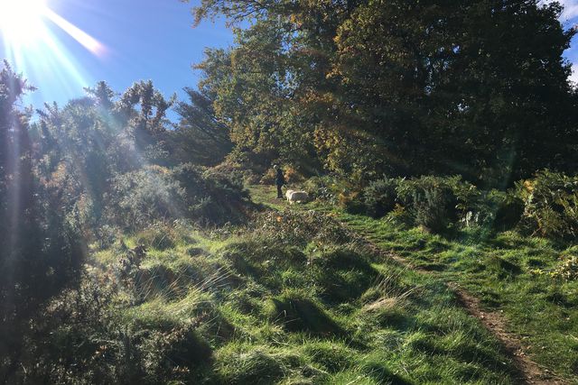 The Pheasant at Neenton - Sawday's